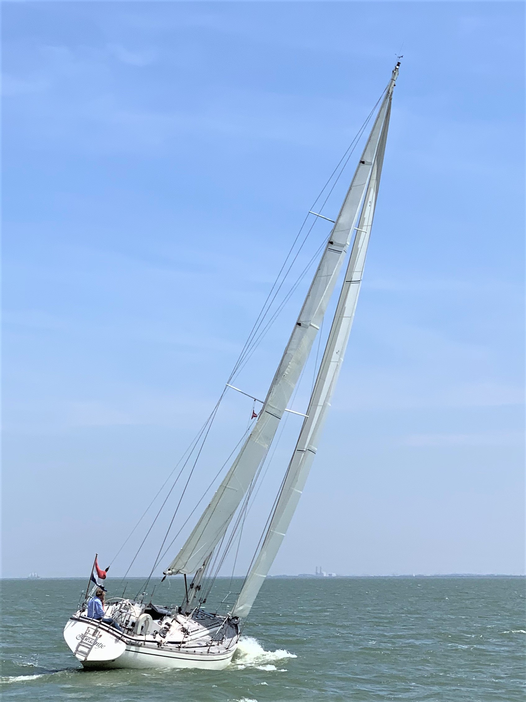 Zeilmakerij Zwaan Sails - Zwaansails